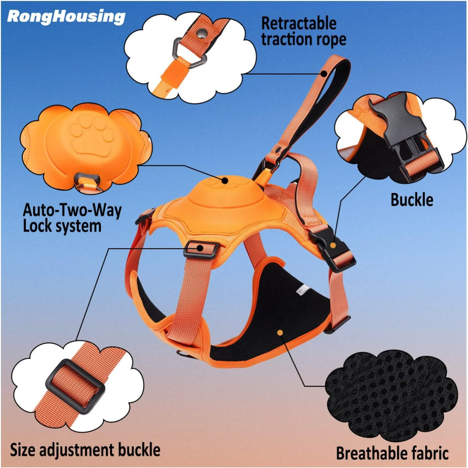 Dog Harness and Automatic Retractable Leash Kit – Impactgifts.io