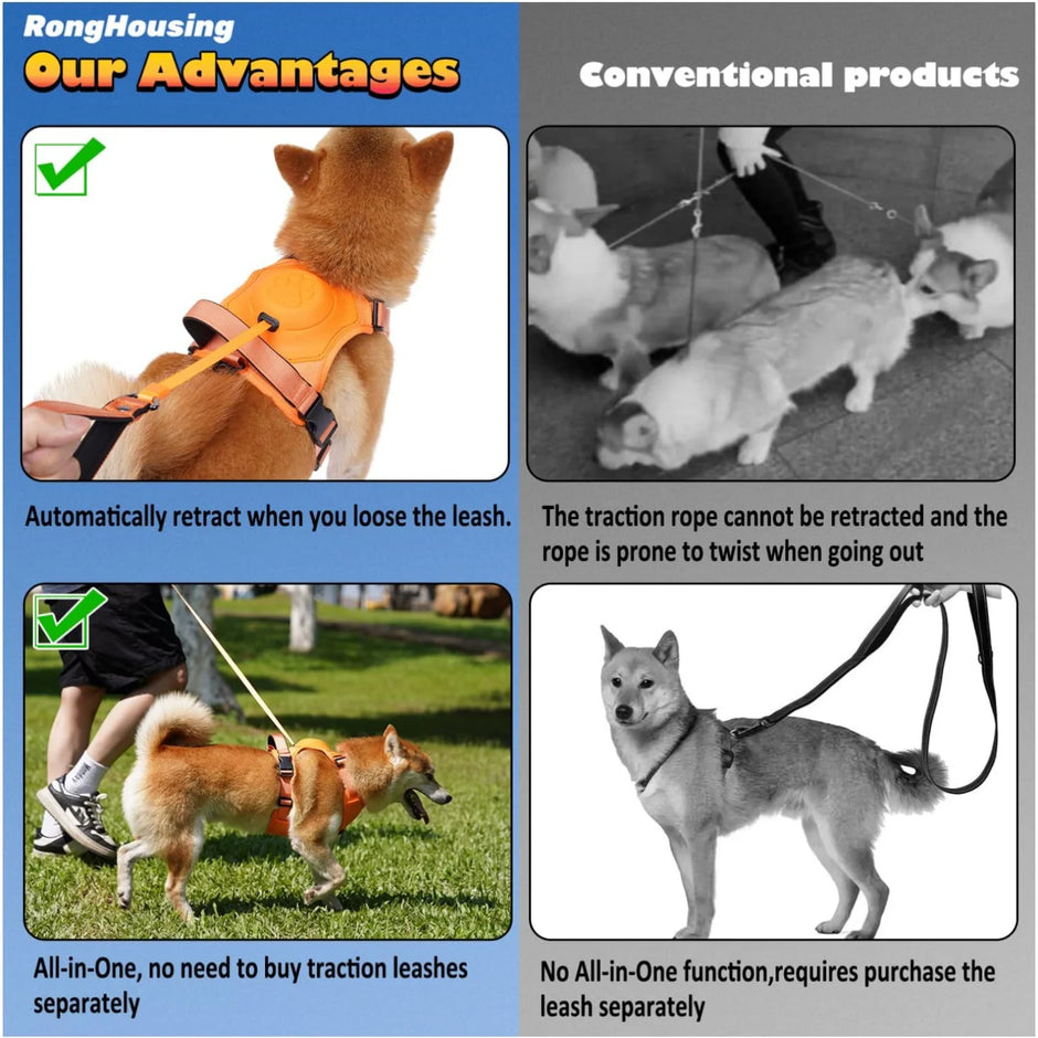 Dog Harness and Automatic Retractable Leash Kit – Impactgifts.io